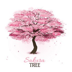 Realistic Sakura Vector Images (over 4,500)