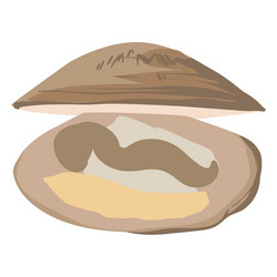 Clam Outline Vector Images (over 2,500)