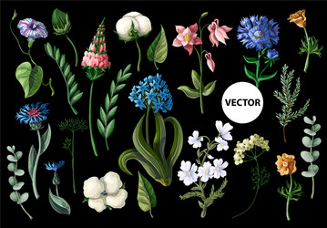 Wild flowers flat set isolated Royalty Free Vector Image