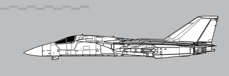 General dynamics grumman ef-111a raven Royalty Free Vector