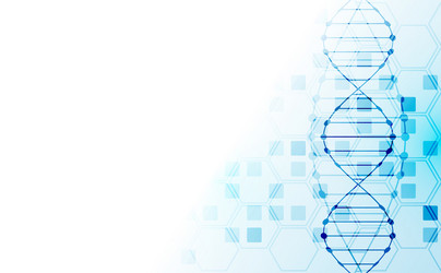 Science template dna molecules background Vector Image