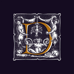 Gothic style letter d logo calligraphy uppercase Vector Image