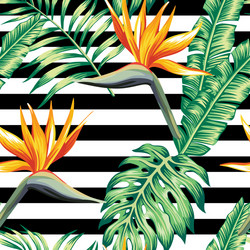Seamless tropical pattern white background Vector Image