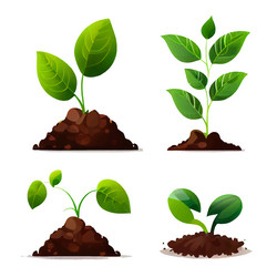 Set of plant growing on soil Royalty Free Vector Image