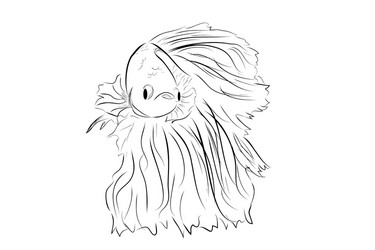 Simple outline betta or siamese fighting fish Vector Image