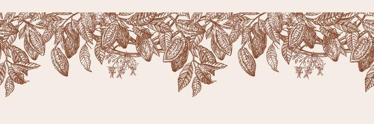 Seamless border with cocoa Royalty Free Vector Image