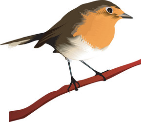 Cartoon bird hand drawing Royalty Free Vector Image