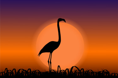 Flamingo Sunset Vector Images (over 3,200)