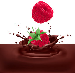 Raspberries with chocolate pieces and a splash Vector Image