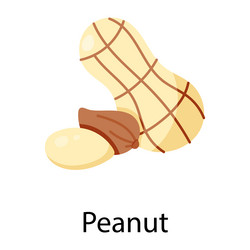 Peanut Drawing Groundnut Vector Images (over 770)