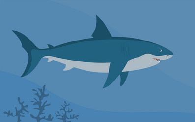 Megalodon Vector Images (over 140)