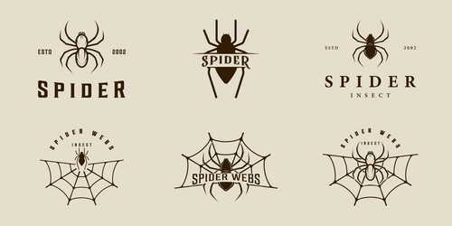Spider Web Logo Vector Images (over 4,800)