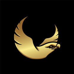 Gold head hawk falcon eagle logo design icon Vector Image