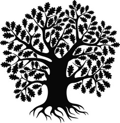 Oak tree Royalty Free Vector Image - VectorStock