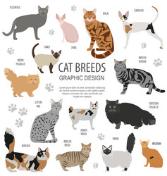 Cat breeds icon set flat style isolated on white Vector Image