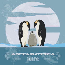 Antarctica south pole infographics statistical Vector Image