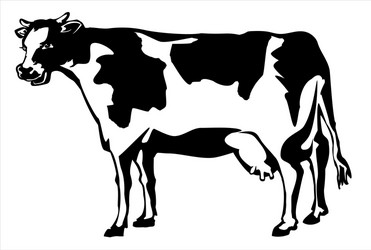 Cow Royalty Free Vector Image - VectorStock