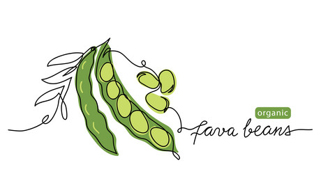 Fava bean broad bean Royalty Free Vector Image