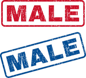 Male rubber stamp Royalty Free Vector Image - VectorStock