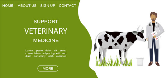 Vet doctor medicine poster project layout Vector Image