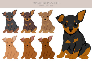Min Pin Colors