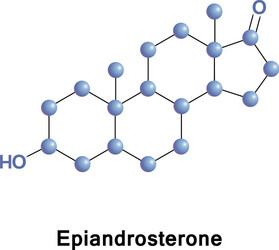 Steroid Structure 3d