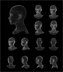 Human Wireframe Model Vector Images (over 4,900)