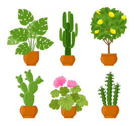 One continuous line potted plants home decor Vector Image