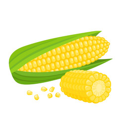 Corn yellow flat icon food natural Royalty Free Vector Image