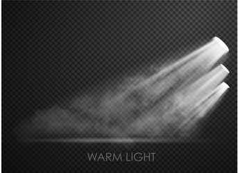 Warm light set bulb on a transparent background Vector Image