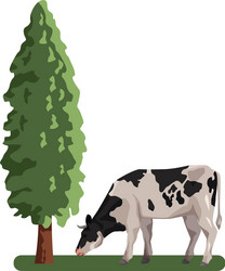 Cow Tree Vector Images (over 5,200)