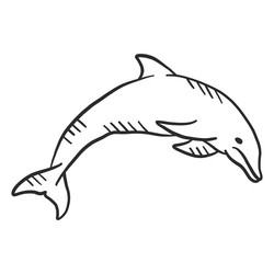 Dolphin flipper tail swimming doodle animal Vector Image