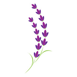 Lavender flower logo design Royalty Free Vector Image