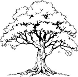 Sycamore tree coloring page design Royalty Free Vector Image