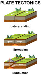 Tectonic Vector Images (over 730)