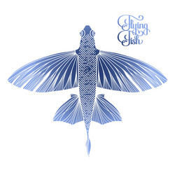 Graphic flying fish collection Royalty Free Vector Image