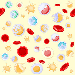 Red blood cell and white cells Royalty Free Vector Image