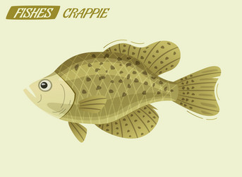 Fish realistic Royalty Free Vector Image - VectorStock