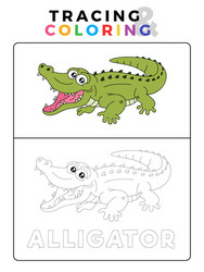Alligator Flashcard Vector Images (over 110)