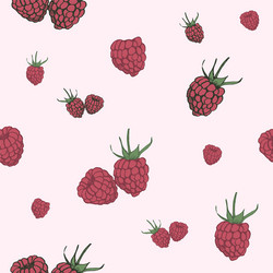 Acai berries on white background seamless pattern Vector Image
