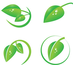 Green leaf with dew drops icon set Royalty Free Vector Image