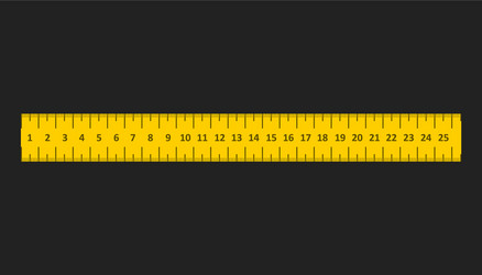 Ruler 5 inch icon in flat style meter measure Vector Image