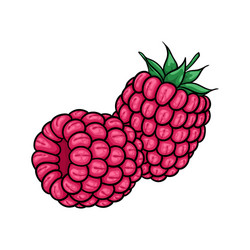 Raspberry fruit cartoon Royalty Free Vector Image