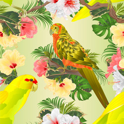 Conure Vector Images (over 110)