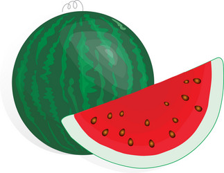 Watermelon fruit cartoon isolated Royalty Free Vector Image