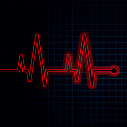 Pulse line heartbeat and cardiogram on monitor Vector Image