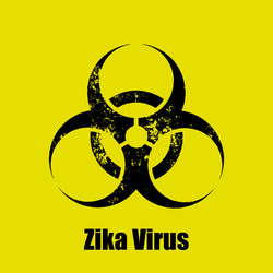 Zika virus warning sign on a yellow background Vector Image