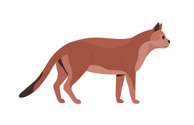 Cartoon Cat Side View Vector Images (over 560)