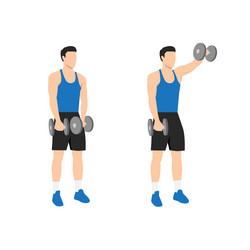 Woman doing forward front shoulder dumbbell raise Vector Image