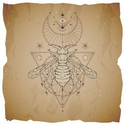 Bee Sacred Geometry Vector Images (98)